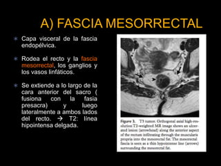 Etapificacion del ca rectal | PPTX
