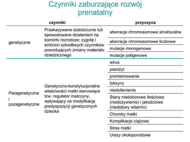 Etapy rozwoju człowieka | PPT