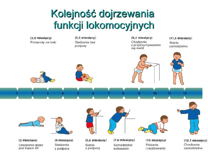 Etapy rozwoju człowieka