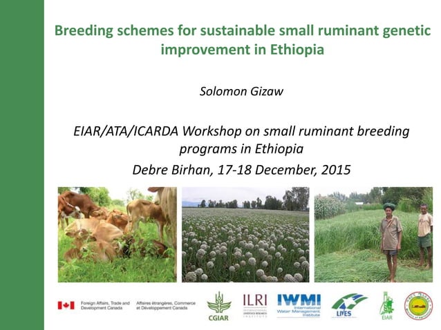 Breeding schemes for sustainable small ruminant genetic improvement in Ethiopia | PPT