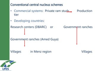 Breeding schemes for sustainable small ruminant genetic improvement in ...