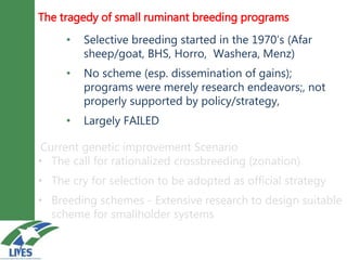 Breeding schemes for sustainable small ruminant genetic improvement in ...