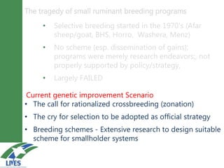 Breeding schemes for sustainable small ruminant genetic improvement in ...