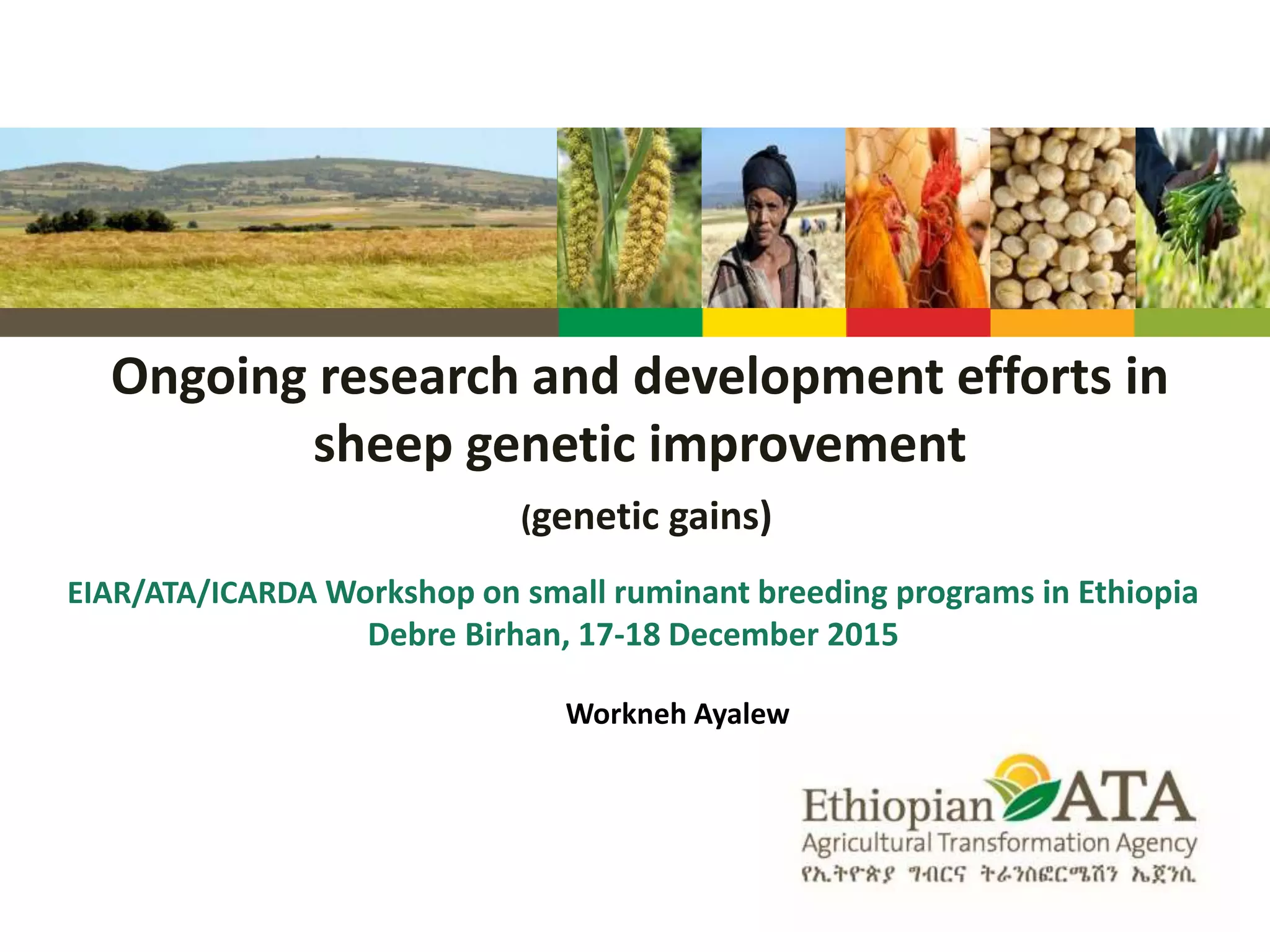 Ongoing research and development efforts in sheep genetic improvement ...