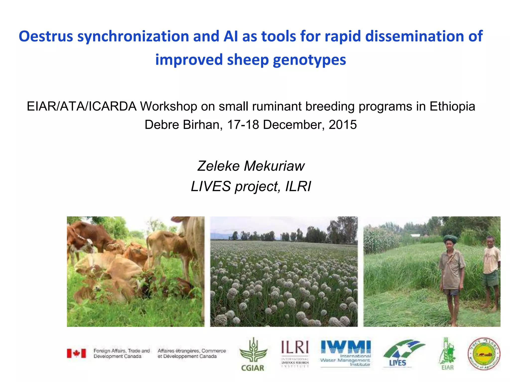 Oestrus synchronization and AI as tools for rapid dissemination of ...
