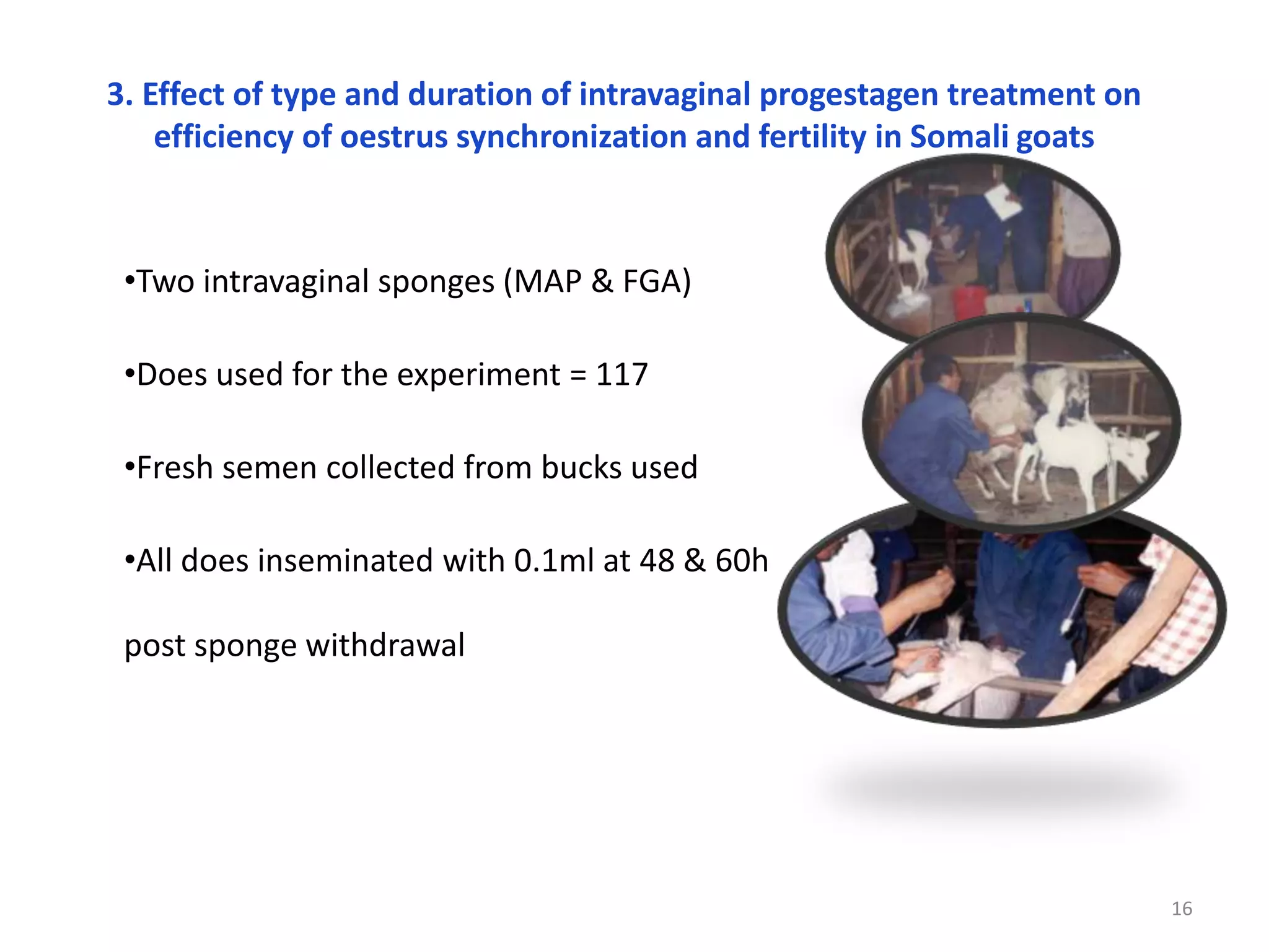 Oestrus synchronization and AI as tools for rapid dissemination of ...