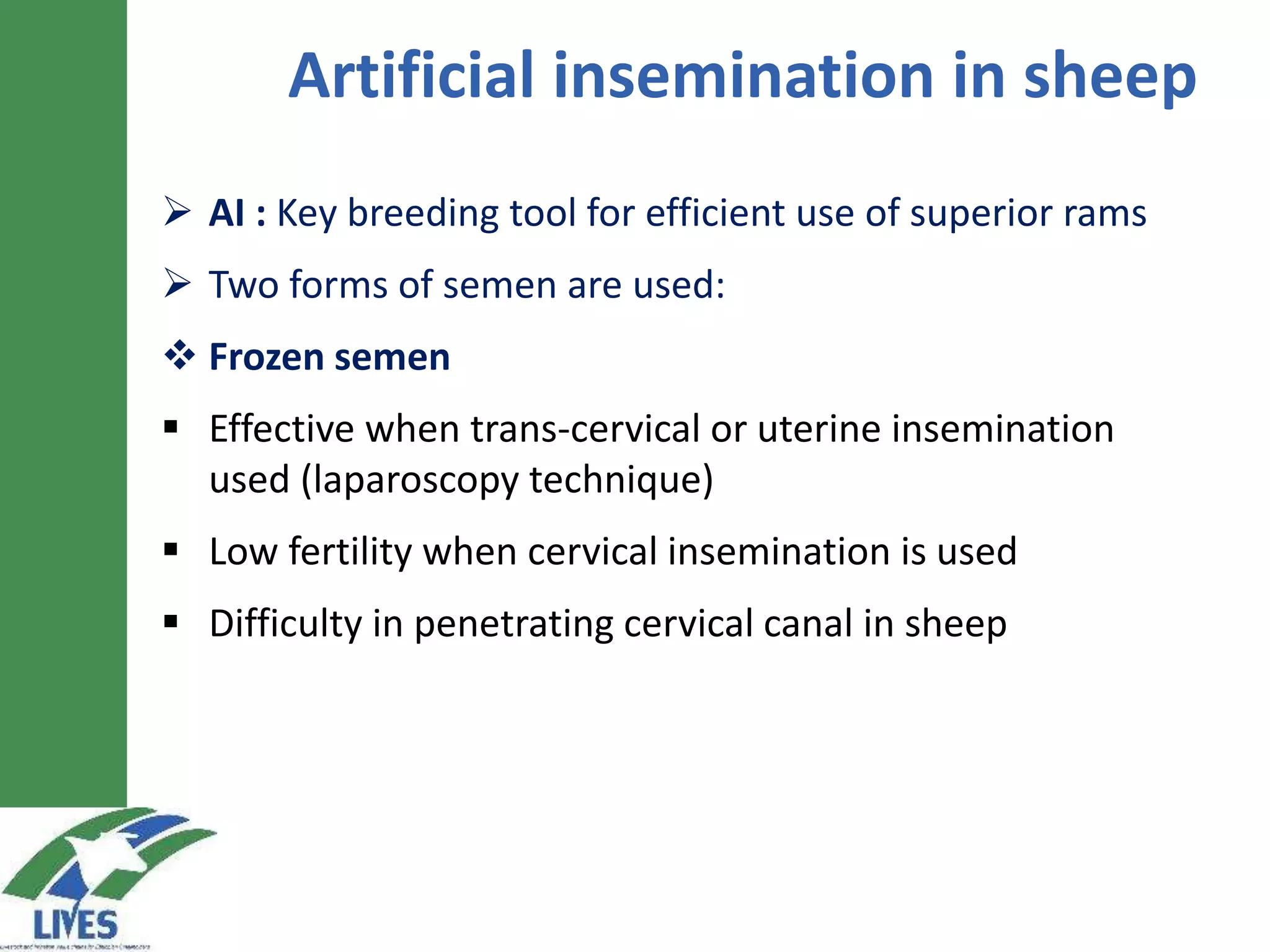 Oestrus synchronization and AI as tools for rapid dissemination of ...
