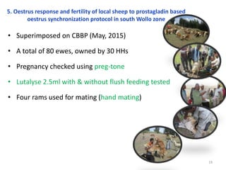 Oestrus synchronization and AI as tools for rapid dissemination of ...