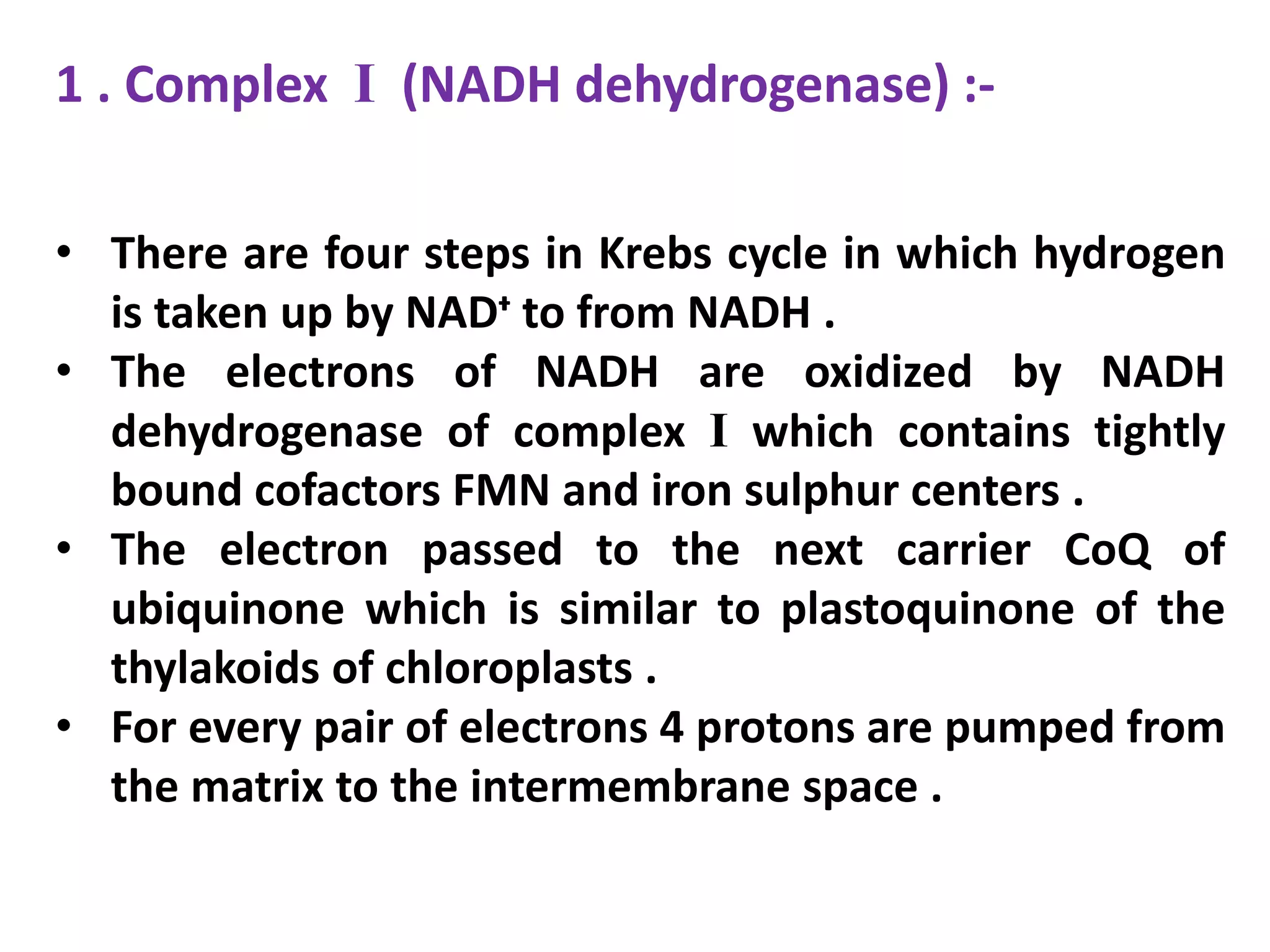electron transport chain | PPTX