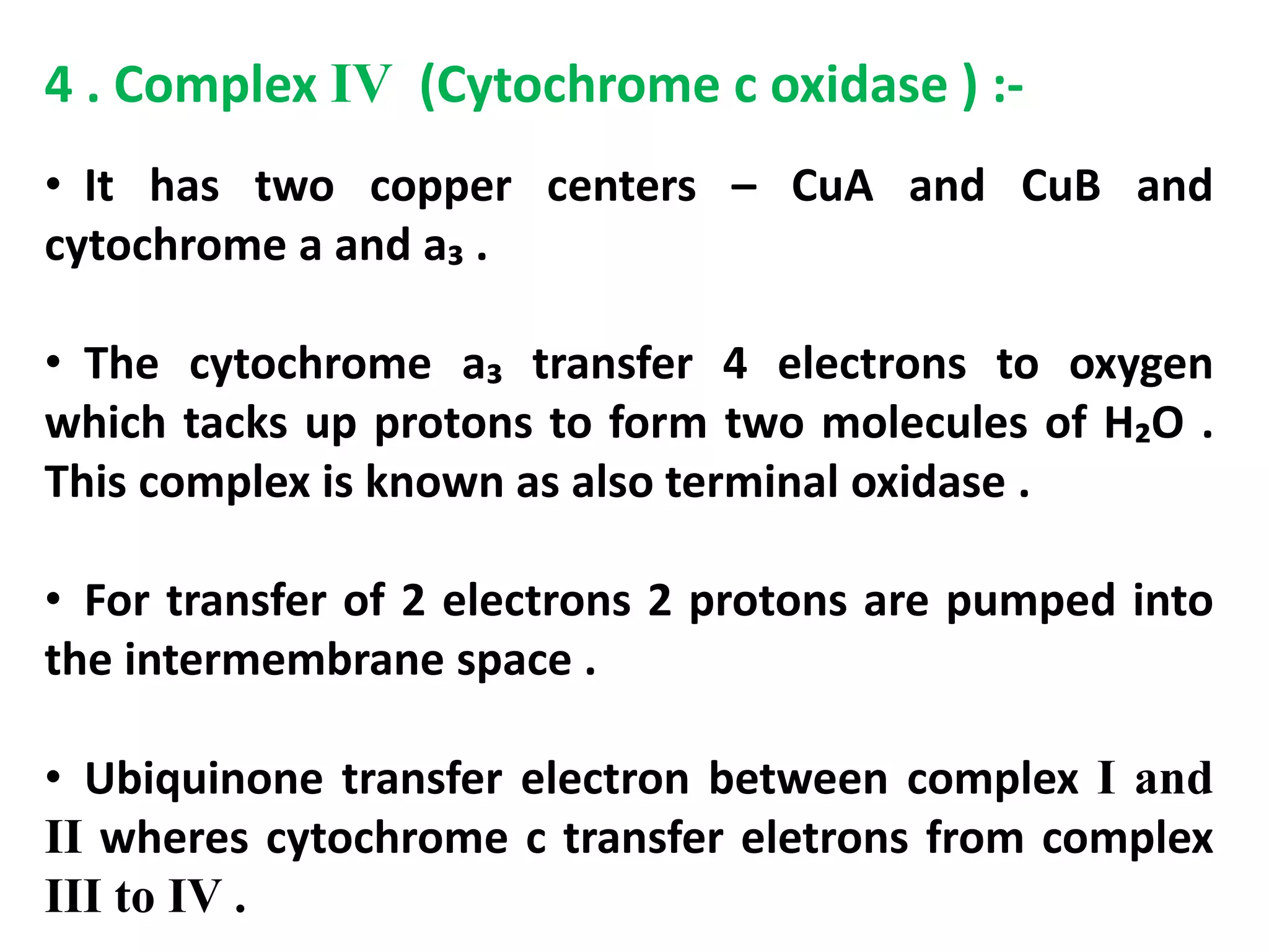 electron transport chain | PPTX