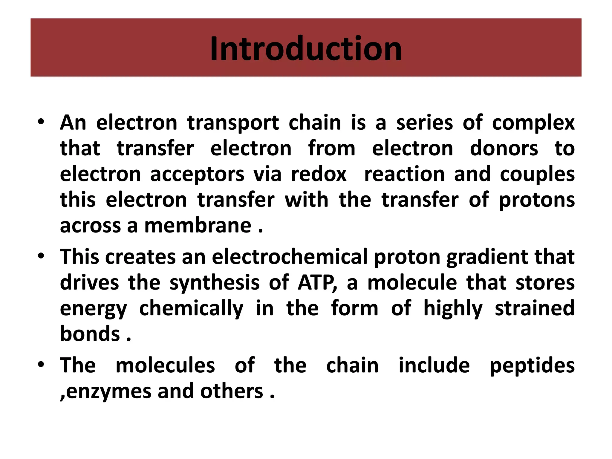 electron transport chain | PPTX