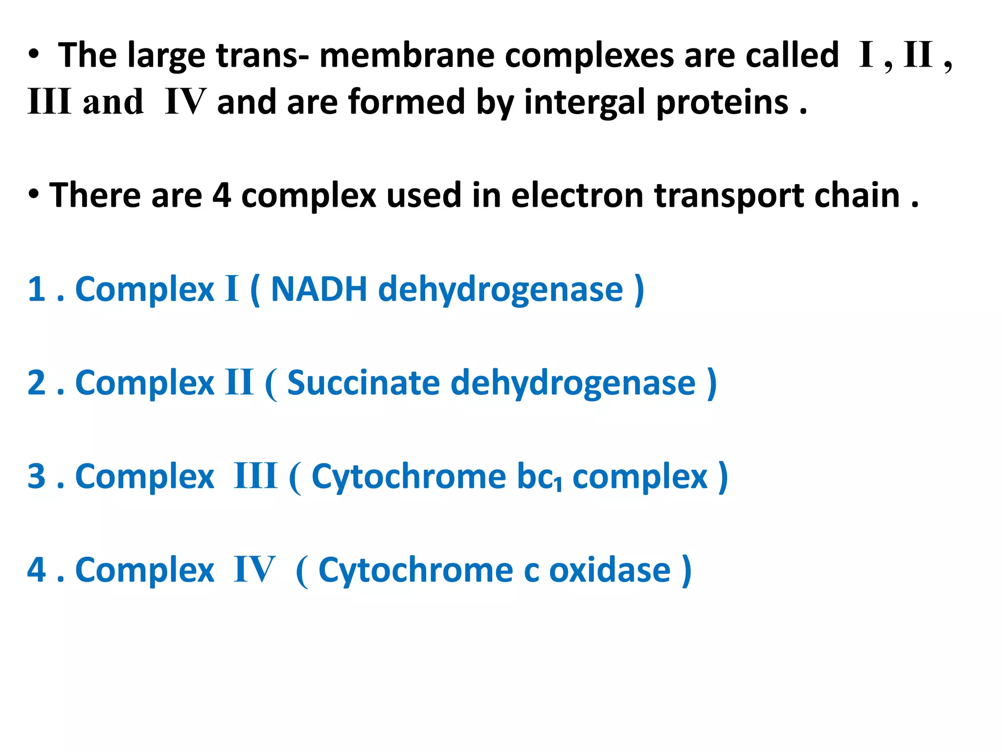 electron transport chain | PPTX