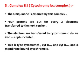 electron transport chain | PPTX