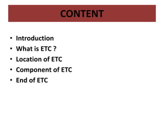 electron transport chain | PPTX