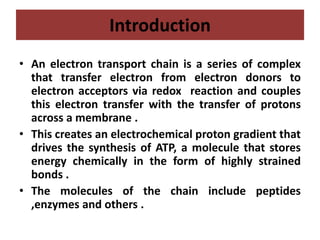 electron transport chain | PPTX
