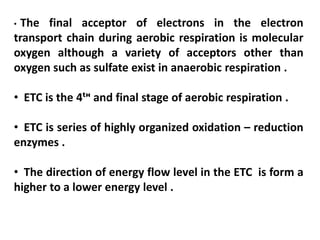 electron transport chain | PPTX