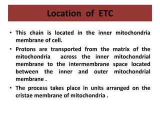 electron transport chain | PPTX