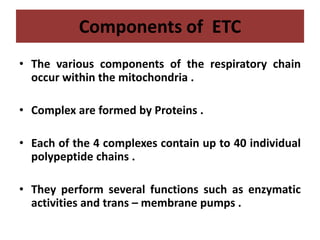 electron transport chain | PPTX