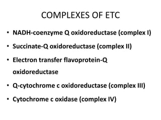 OXIDATIVE PHOSPHORYLATION-ETC chain | PPTX