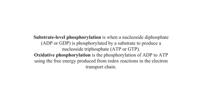 electron transport chain ETC and oxidative phosphorylation .pptx