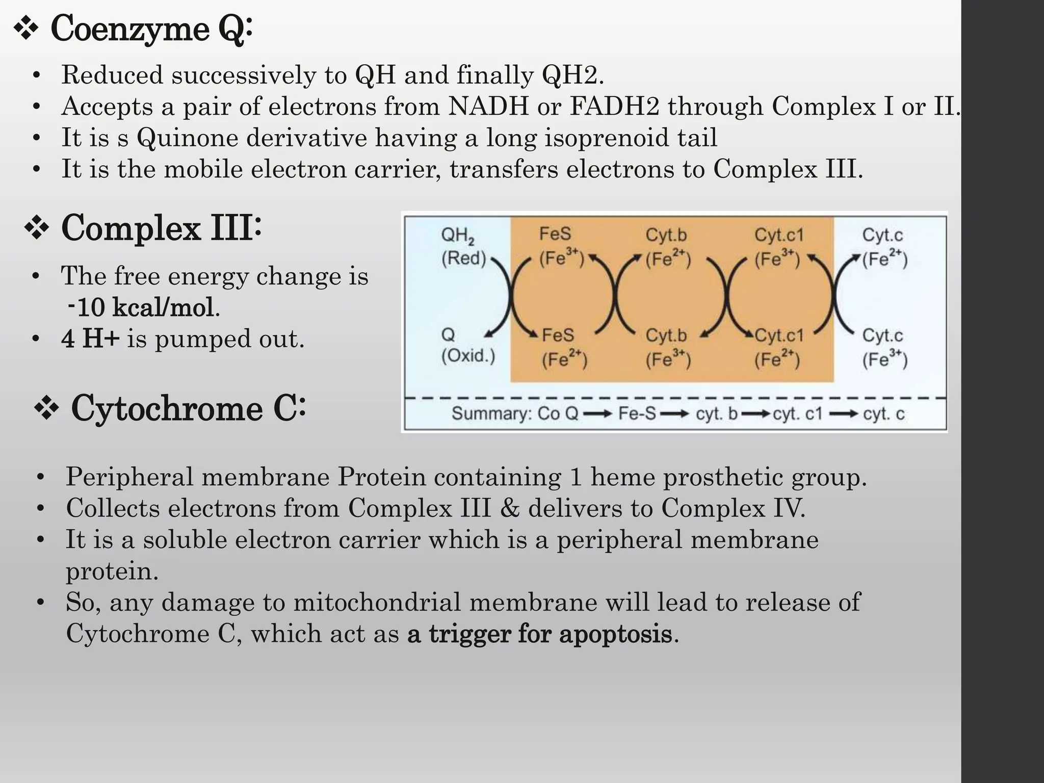 ETC.pptx electron transport chain PDUGMC | PPTX