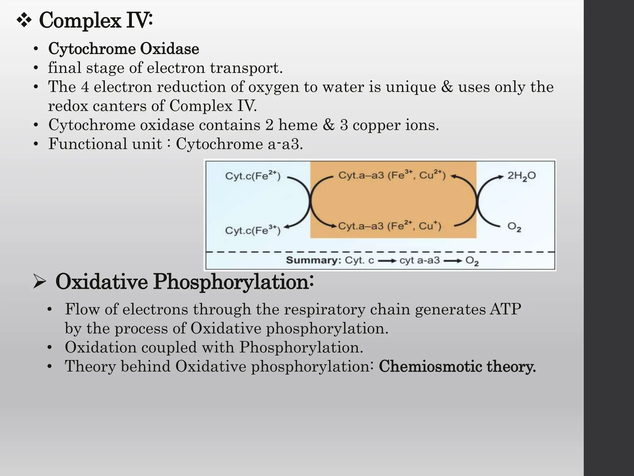 ETC.pptx electron transport chain PDUGMC | PPTX