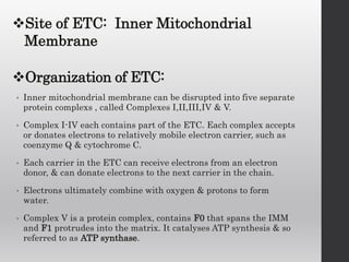 ETC.pptx electron transport chain PDUGMC | PPTX