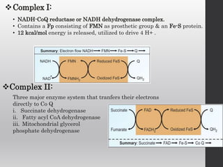 ETC.pptx electron transport chain PDUGMC | PPTX