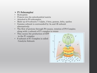 ETC.pptx electron transport chain PDUGMC | PPTX