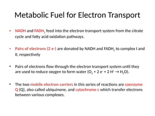Kampala International University Electron Transfer Cycle.pptx
