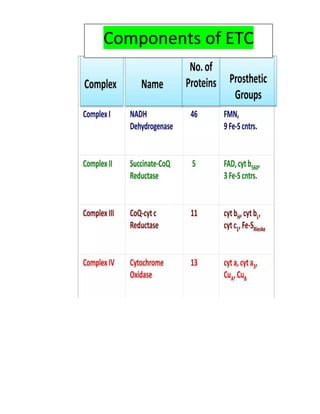 ETC-AKA-Spy-Universe.pdf Electron Transport Chain. | PDF | Chemistry ...
