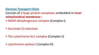 ETC-AND-ATP-SYNTHESIS ELECTRON TRANSPORT CHAIN AND ATP SYNTHESIS.pptx