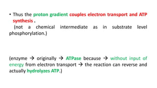 ETC-AND-ATP-SYNTHESIS ELECTRON TRANSPORT CHAIN AND ATP SYNTHESIS.pptx