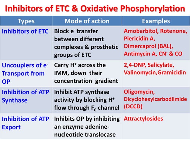 Etc and-oxd-phos-n-substrate-level-phos | PPT