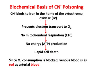 Etc and-oxd-phos-n-substrate-level-phos | PPTX
