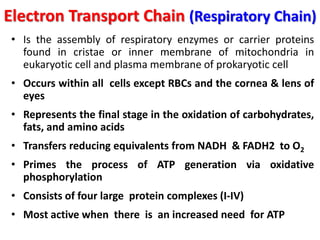 Etc and-oxd-phos-n-substrate-level-phos | PPTX