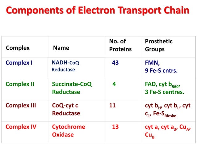 Etc and-oxd-phos-n-substrate-level-phos | PPT