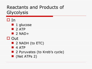 Etc And Glycolysis | PPT