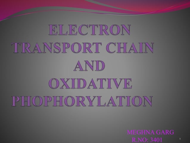 Electron transport chain and Oxidative phosphorylation | PPTX
