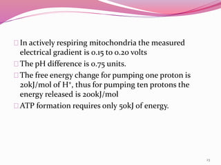 Electron transport chain and Oxidative phosphorylation | PPTX