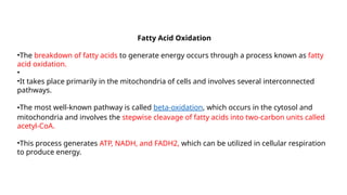 ETC, fatty acid oxidation, urea cycle.pptx