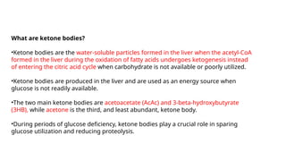 ETC, fatty acid oxidation, urea cycle.pptx