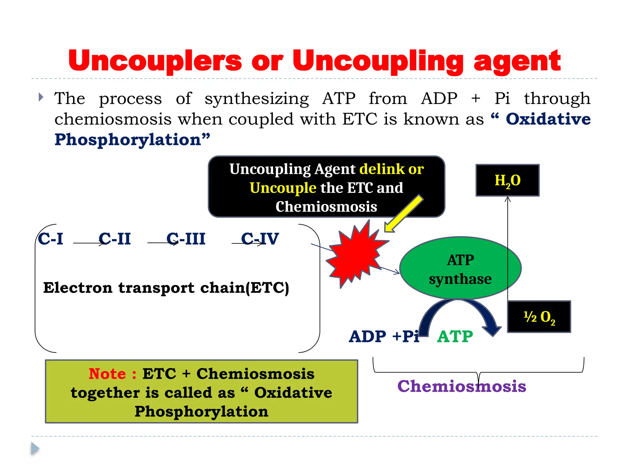 ETC Inhibitors and Uncouplers in biochemistry | PPTX
