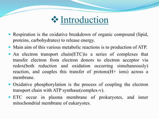 Electron Transport Chain and oxidative phosphorylation @meetpadhiyar | PPT