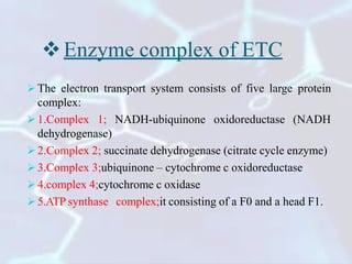 etcopmeet-210111042004 (1).pptx