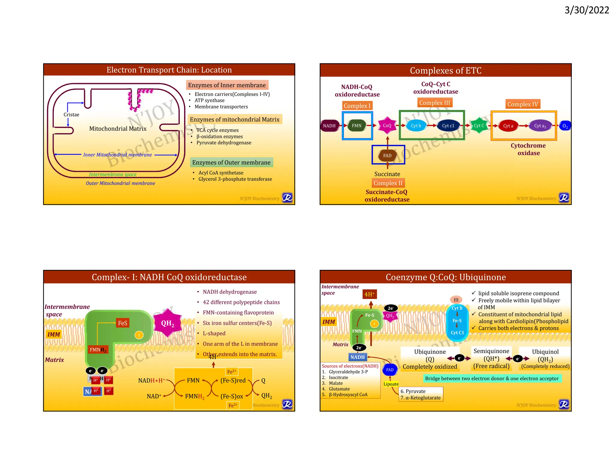 ETC ( biochemistry)- Dr. Trupti Ramteke.pdf