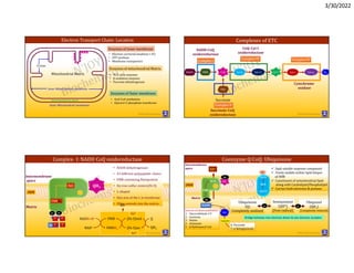 ETC ( biochemistry)- Dr. Trupti Ramteke.pdf
