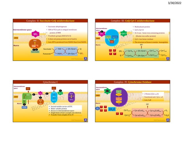 ETC ( biochemistry)- Dr. Trupti Ramteke.pdf