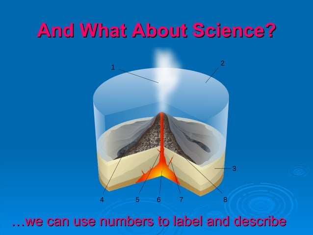 The Importance of Numbers | PPT