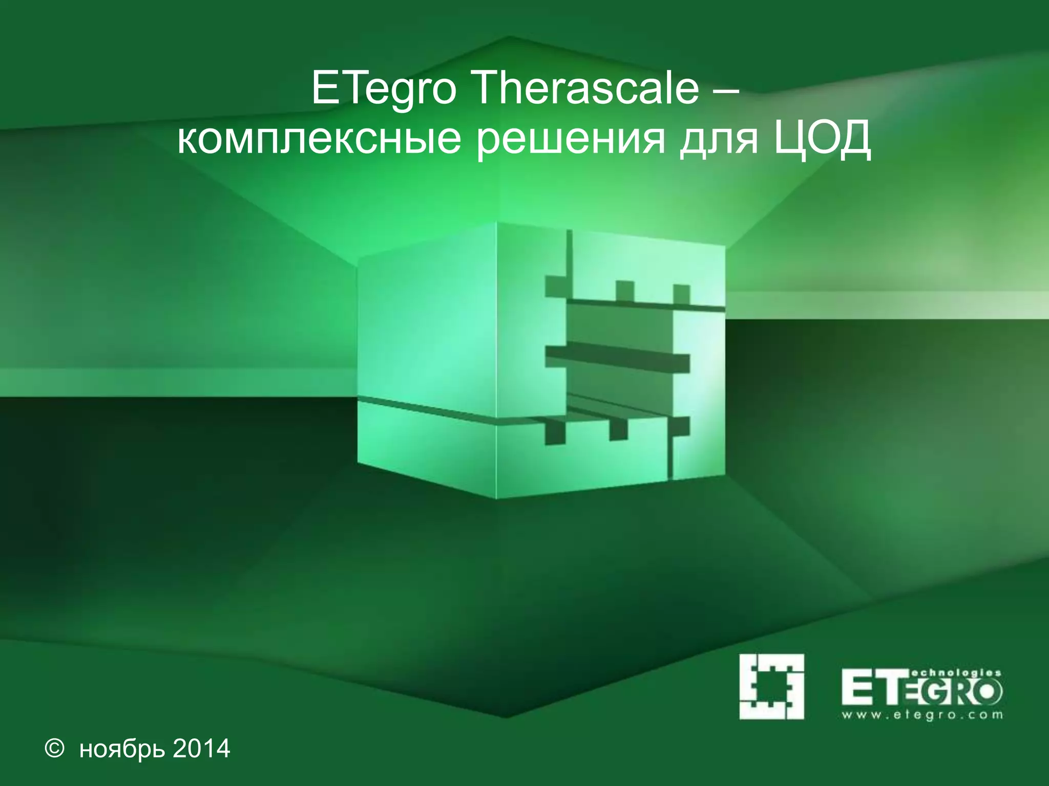 ETegro Technologies Therascale - комплексные решения для ЦОД | PPT